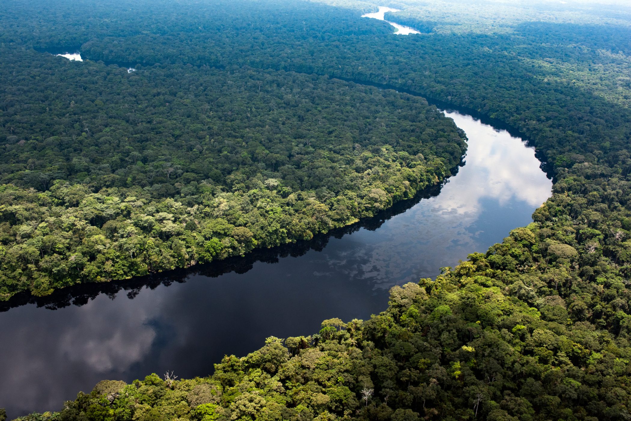 Cuenca del Congo | Greenpeace España