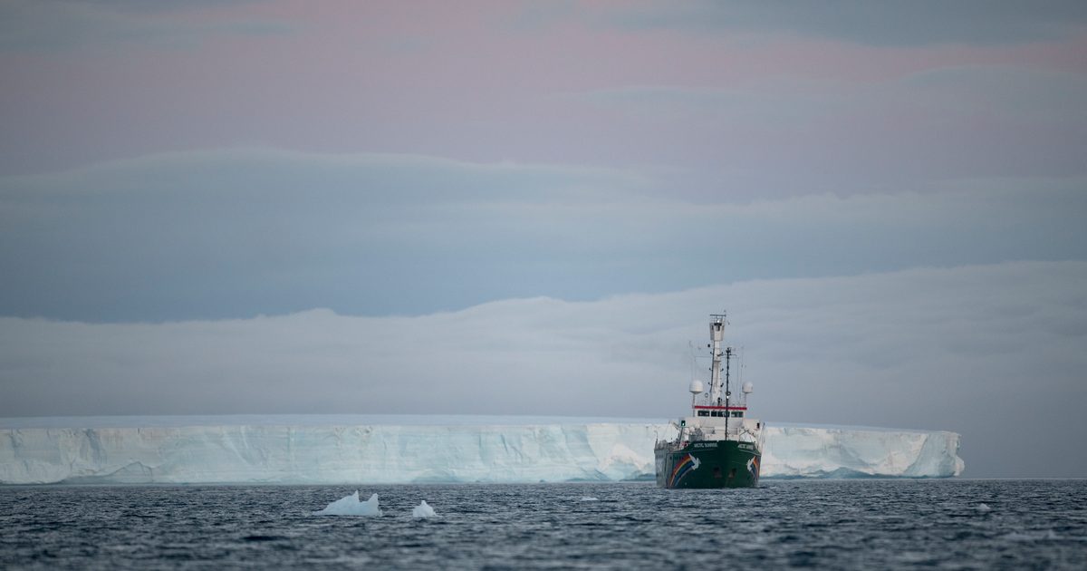 ¿En qué áreas trabajamos? | Greenpeace España