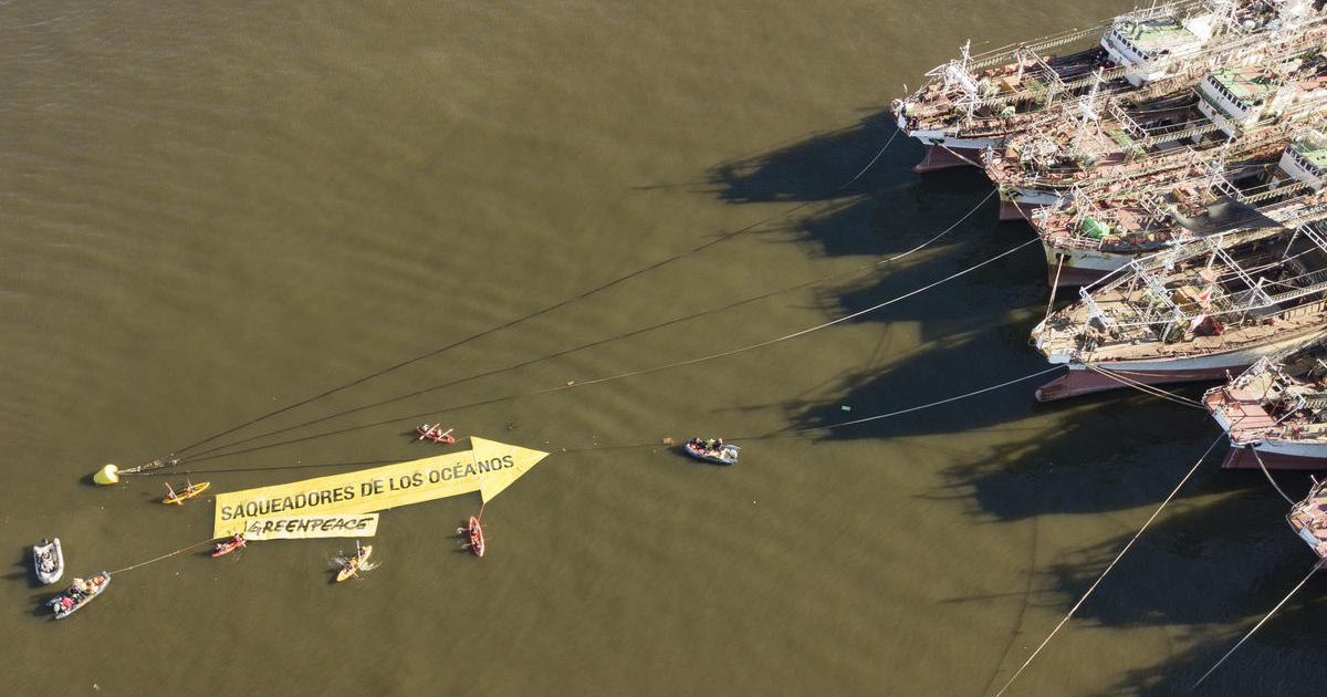 Greenpeace Expone La Pesca Más Destructiva En El Atlántico Sur Es