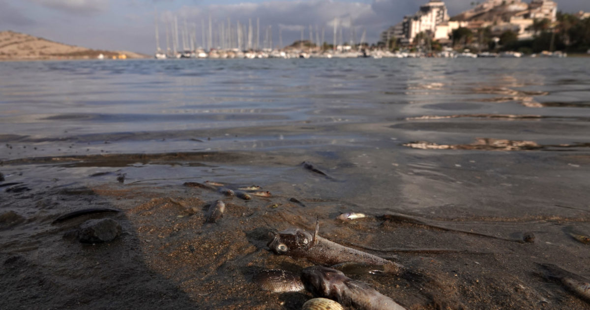 El Mar Menor, una víctima del trasvase Tajo-Segura - ES | Greenpeace España
