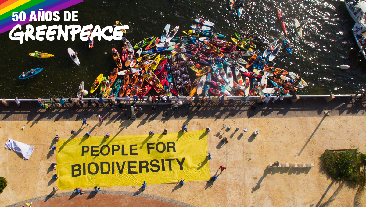 ¡Cumplimos 50 años! - ES | Greenpeace España