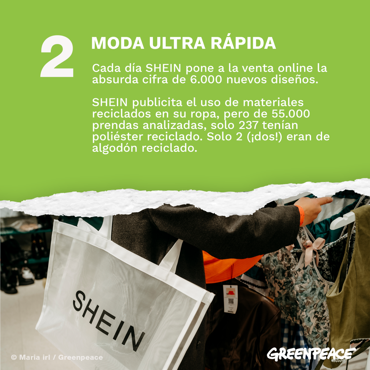 SHEIN: Toxicidad a todo trapo - ES | Greenpeace España