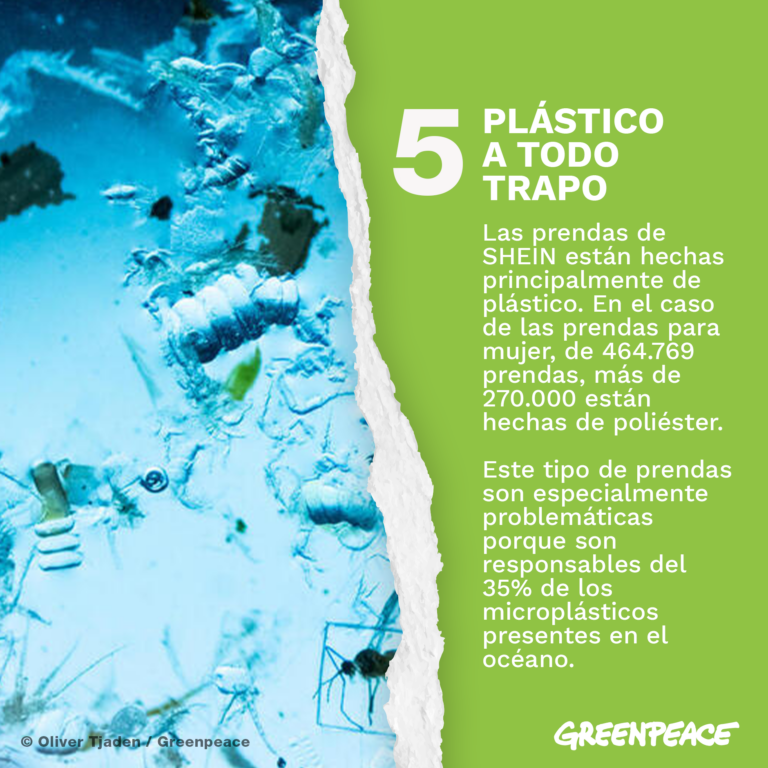 SHEIN: Toxicidad a todo trapo - ES | Greenpeace España