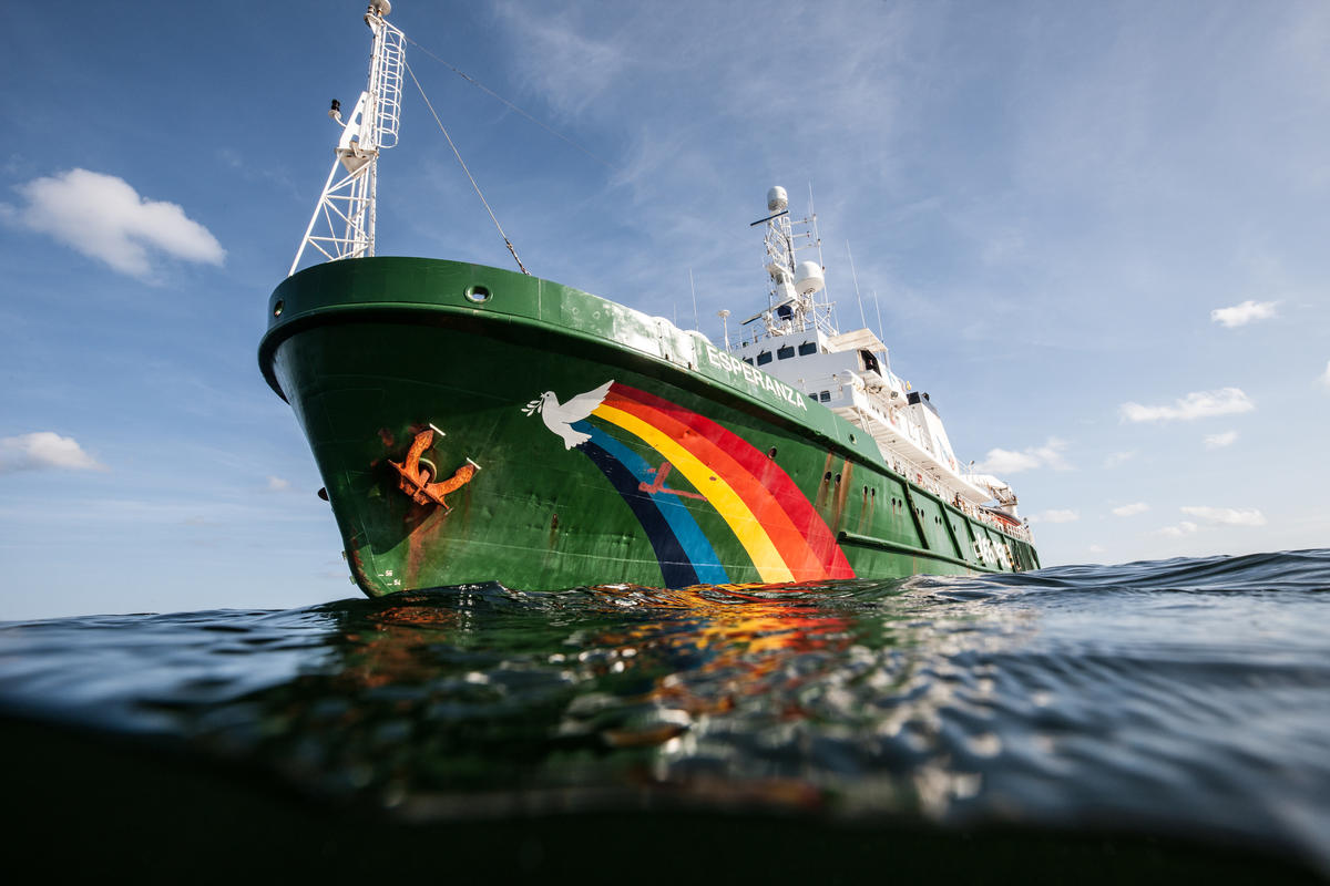 Guías Greenpeace | Greenpeace España