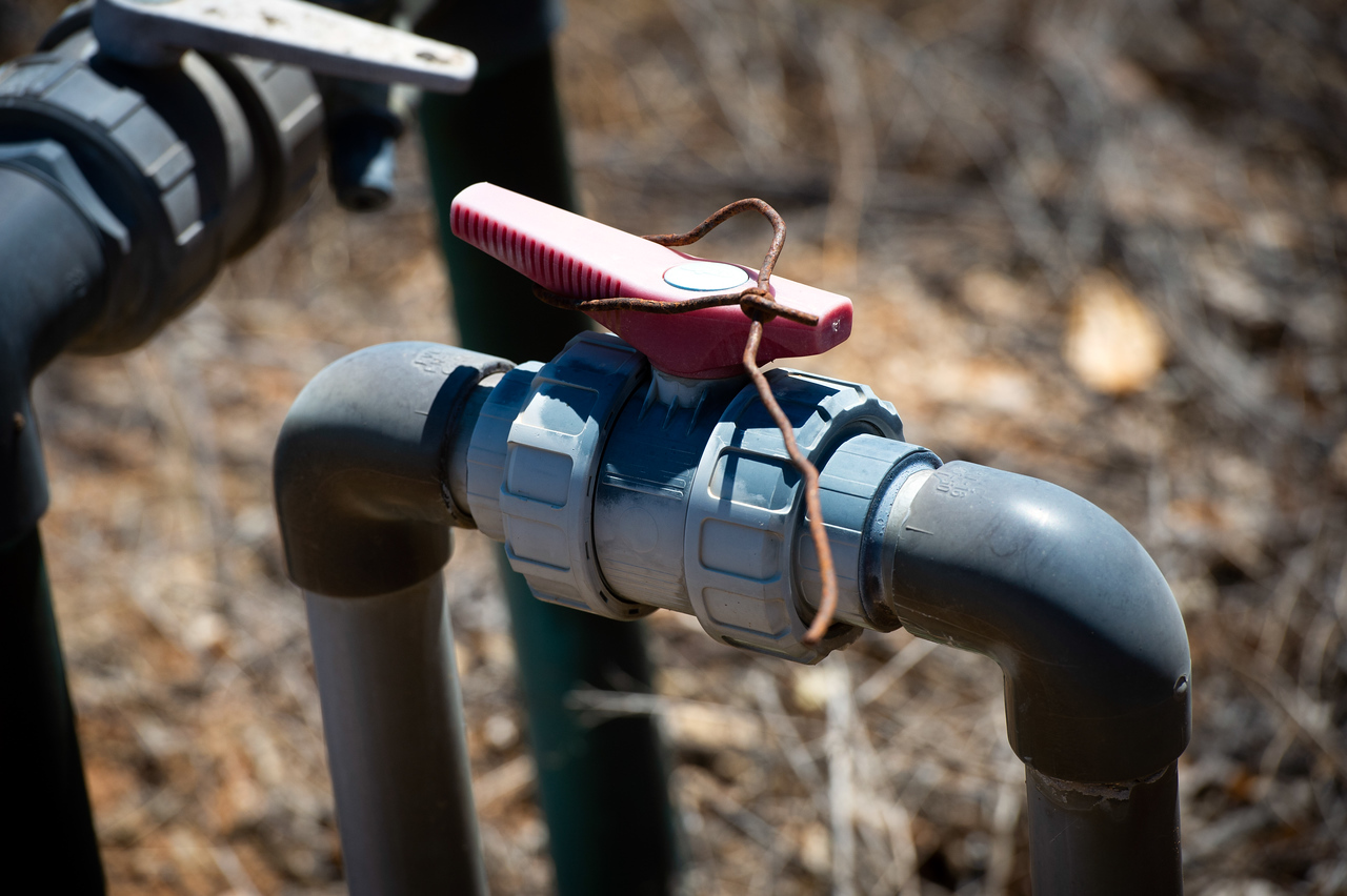 ¿Modernizar el regadío es la solución? | Greenpeace España