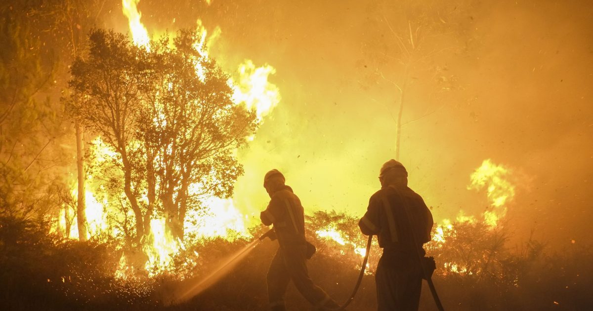 Incendios forestales: Greenpeace exige actuar antes de las llamas