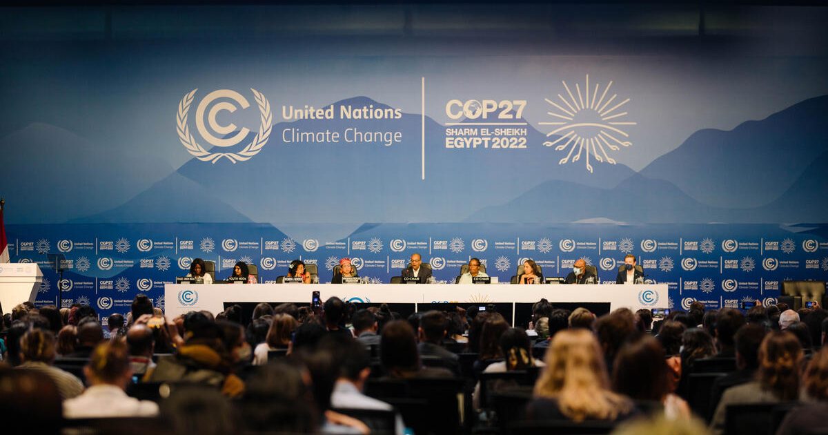 Lo que necesitamos de la COP28 - ES | Greenpeace España