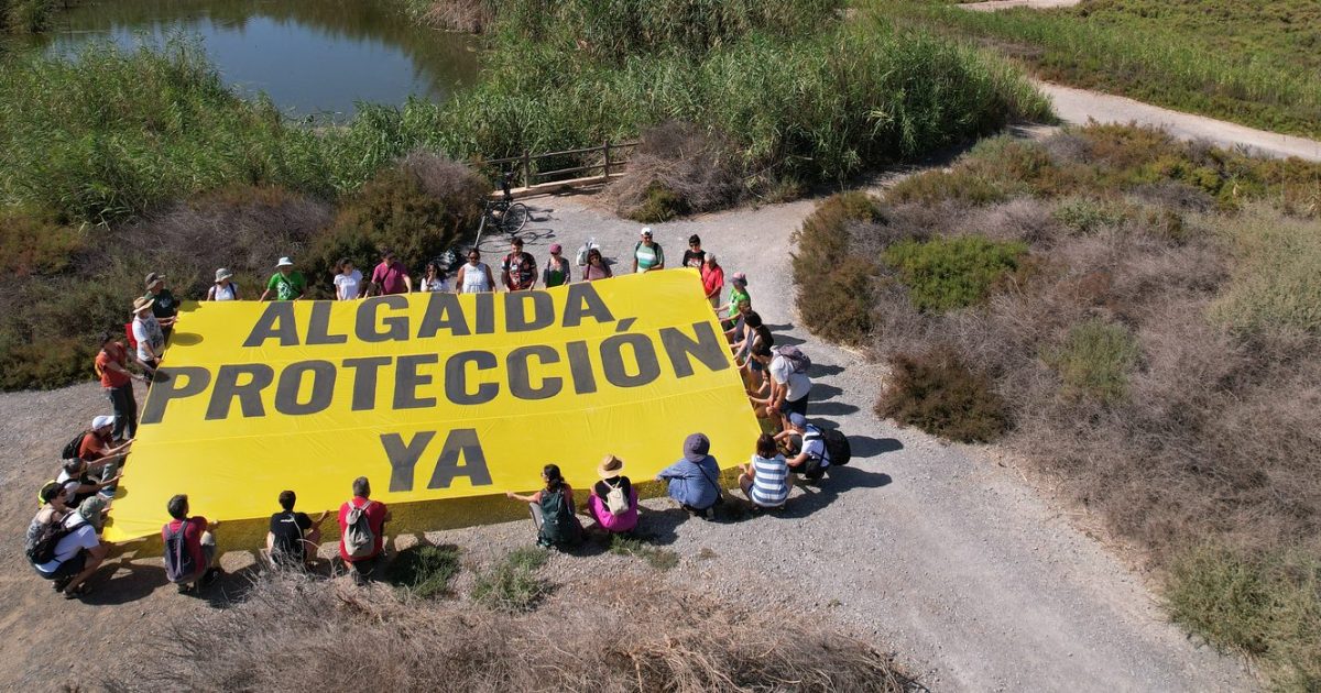 Proteger la Ribera de la Algaida - ES | Greenpeace España